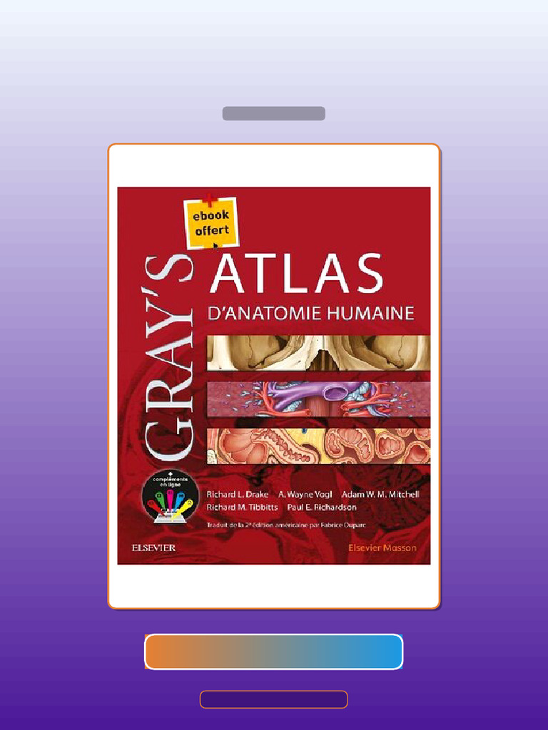 Test Bank for Grays Atlas Danatomie Humaine 2nd Edition Drake | PDF ...