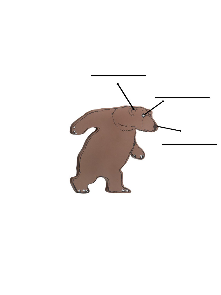 Were Going on a Bear Hunt Label the Bear | PDF