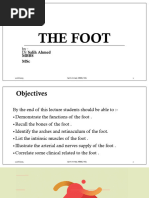 MTP and IP Joint Overview in Foot | PDF | Foot | Toe