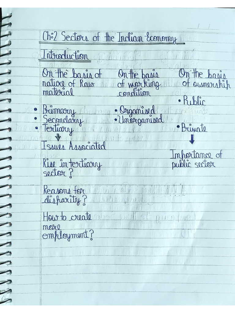 Class 10 Economics Chapter 2 Handwritten Notes | PDF