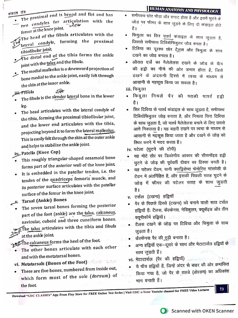 New Doc 01-17-2026 11.47 | PDF