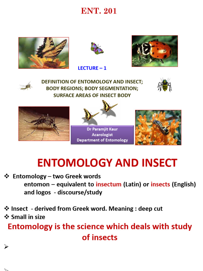 Lec 1 Def of Entomology Insect | PDF | Insects | Arthropods