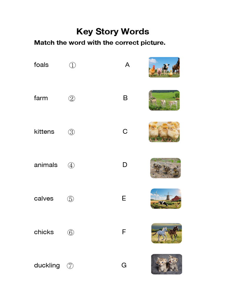 L1-U6L1-At the Animal Farm-Work Sheet | PDF