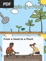 Everyday Objects Capacity Activity Sheet (1) | PDF