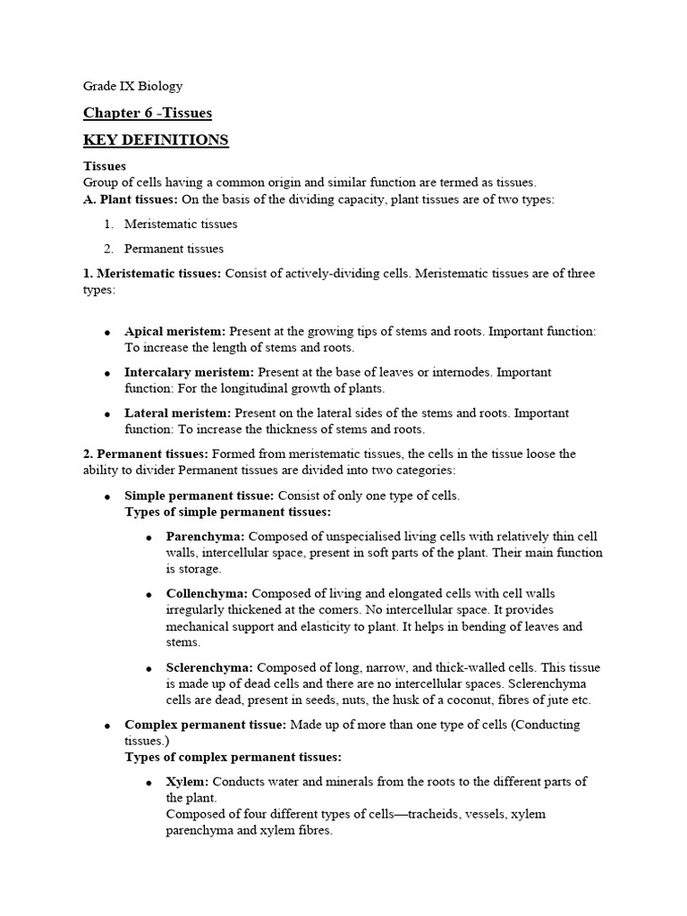 DOC-20241101-WA0004. | PDF | Tissue (Biology) | Muscle