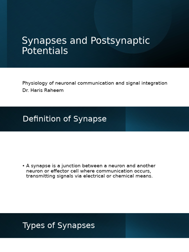 Synapses and Postsynaptic Potentials Explained | PDF