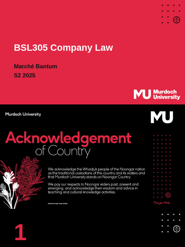 Introduction to Company Law Overview | PDF | Corporations | Corporate Law
