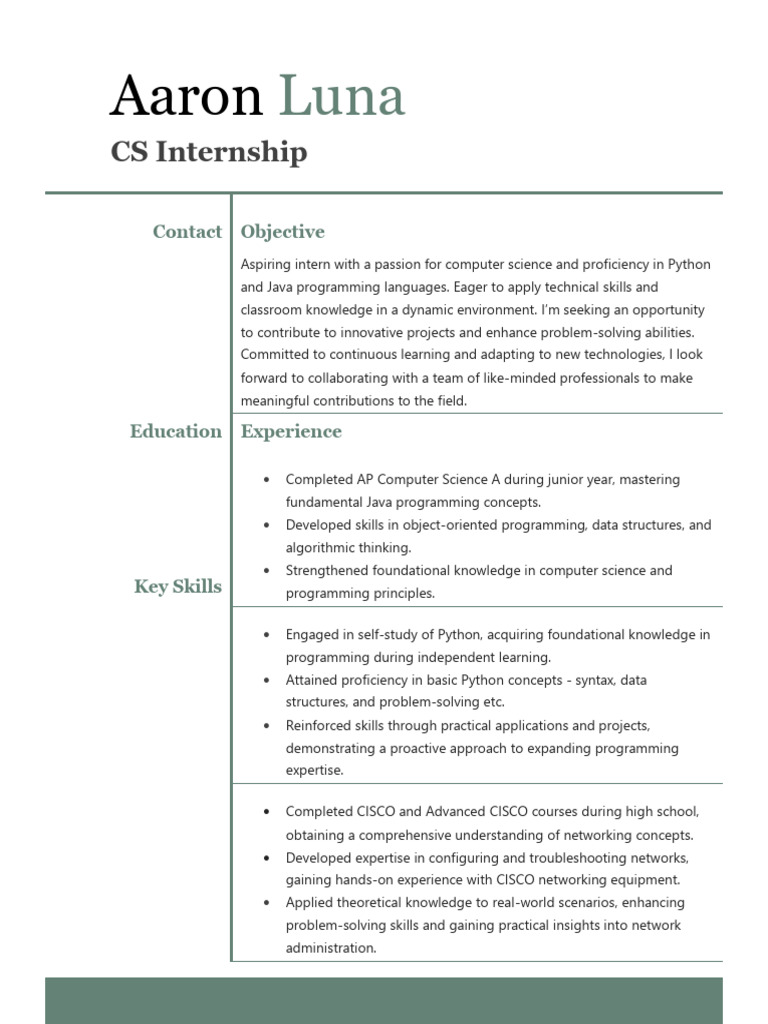 Aaron Luna CV | PDF | Computer Programming | Learning