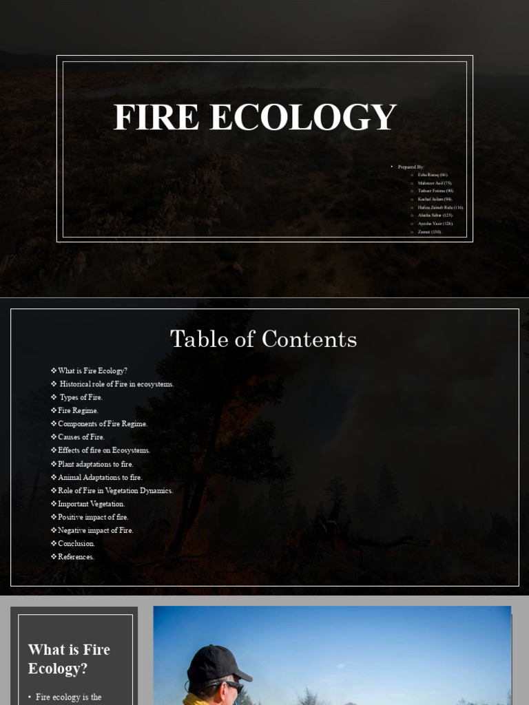 Fire Ecology | PDF | Wildfire | Fires