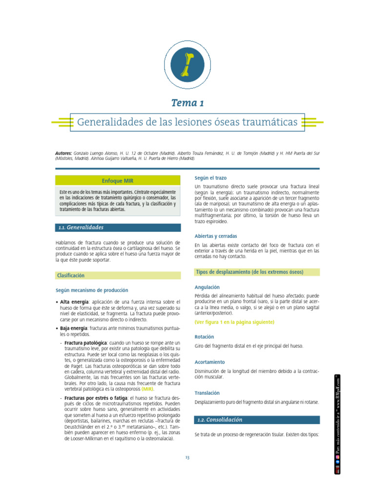 Fracturas Amir | PDF | Hueso | Trombo