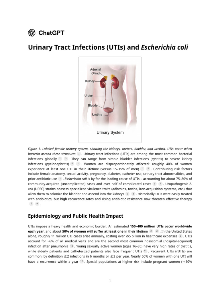 Urinary Tract Infections (UTIs) and _Escherichia Coli | PDF | Urinary ...