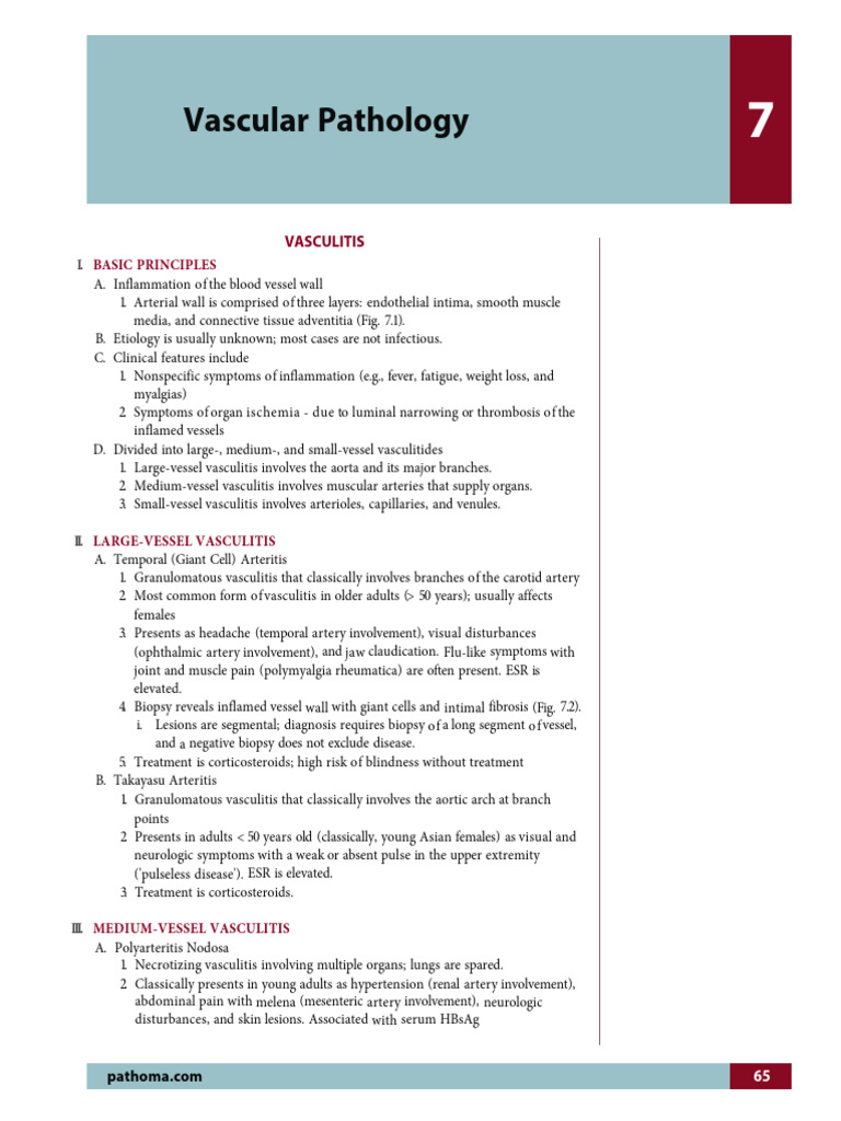 Pathoma 2021 Pages 1 | PDF | Artery | Blood Vessel