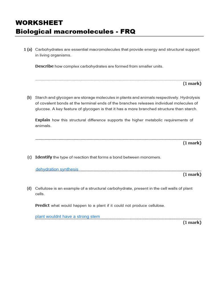 Biological Macromolecules Worksheet | PDF | Liposome | Cell Membrane