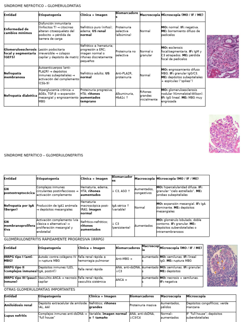 Megacuadro - Patologías Renales - Repaso Insano | PDF | Medicina CLINICA | Riñón