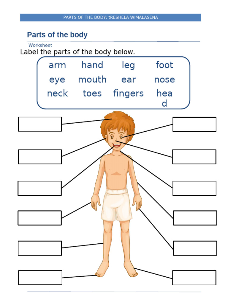 Parts of the Body | PDF