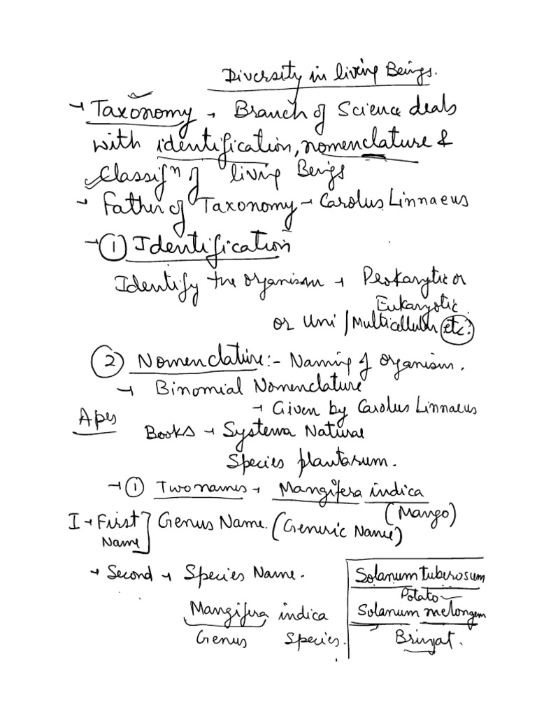 Note 17-Jun-2024 | PDF | Petal | Spore