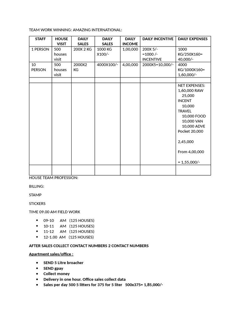 Daily Sales and Incentives Breakdown | PDF