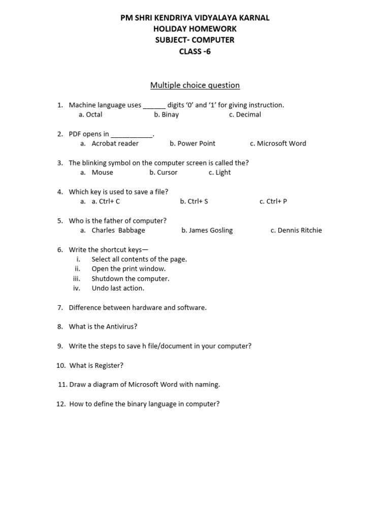 Class-6 Computer Holiday Homework | PDF