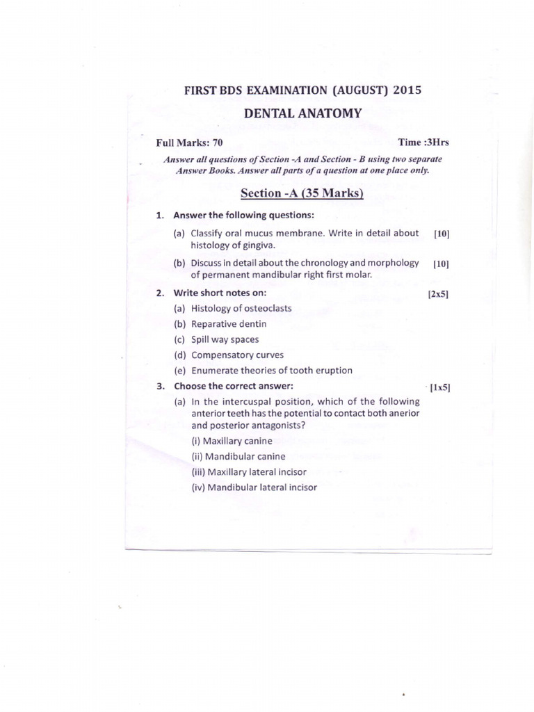 2015 Dental Anatomy August | PDF