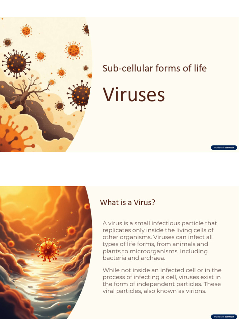 Understanding Virus Structure and Cycles | PDF | Virus | Organisms