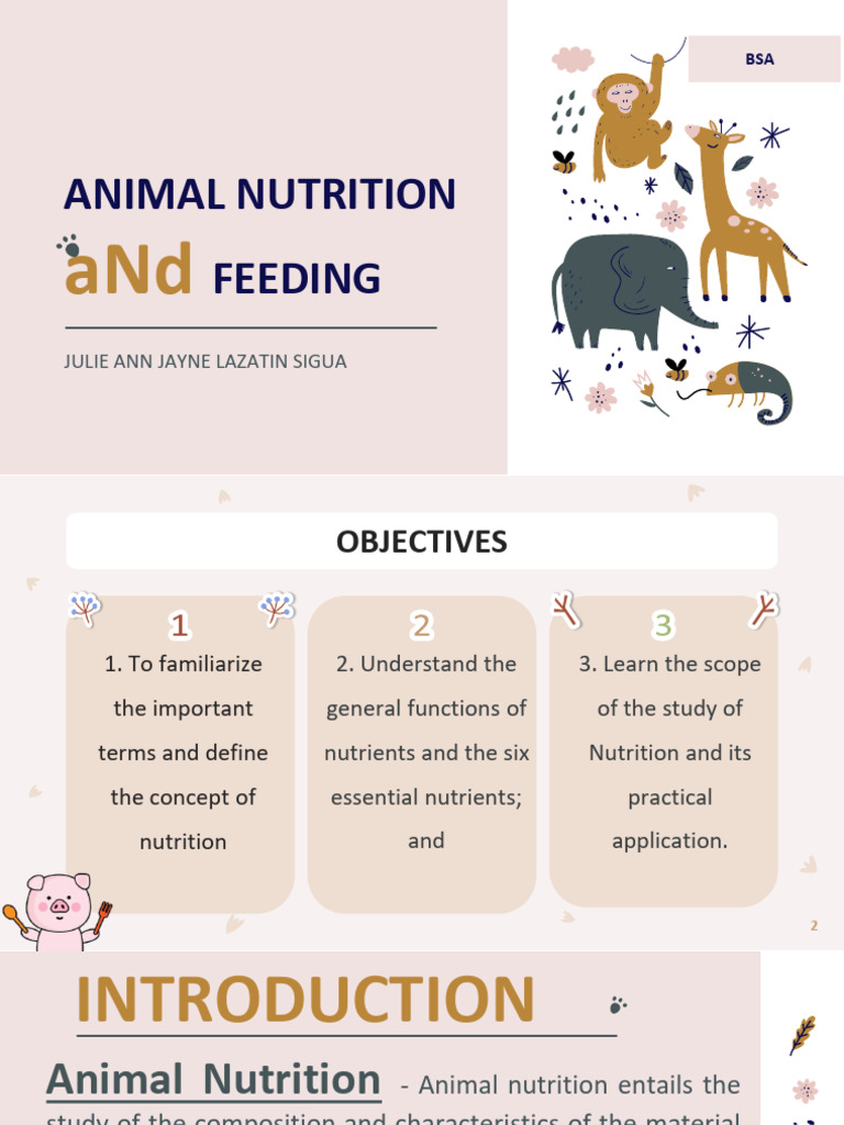 Essential Guide to Animal Nutrition | PDF | Carbohydrates | Fat