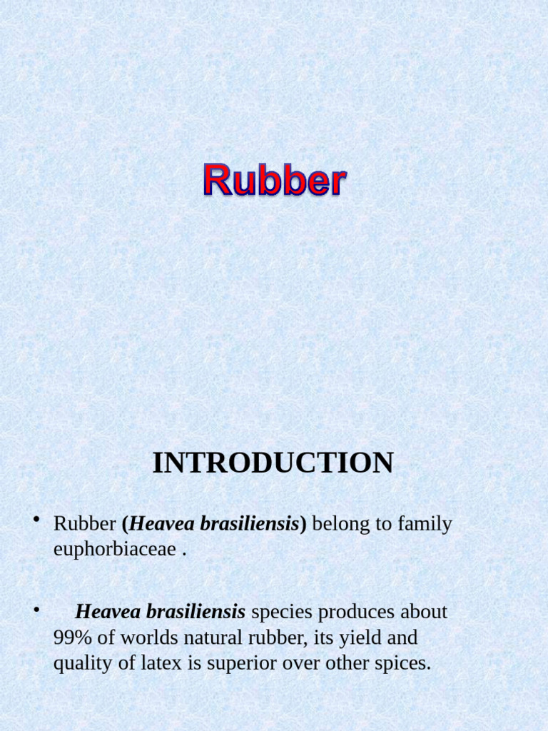 Overview of Rubber Production and Uses | PDF | Natural Rubber | Botany