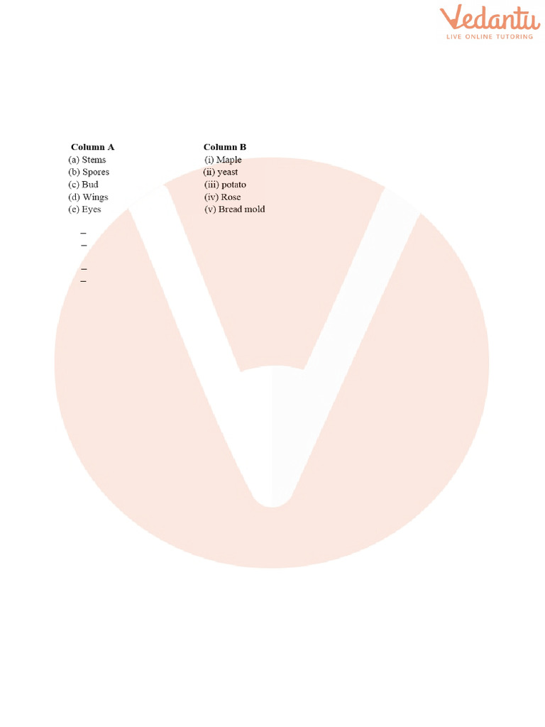 CBSE Class 7 Science Reproduction in Plants Worksheets 2025-26 | PDF ...