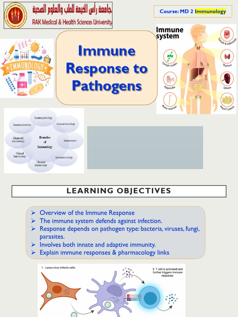 1762140049491-Immune_Response_to_Pathogens_MD2_20251104 | PDF | Immune ...