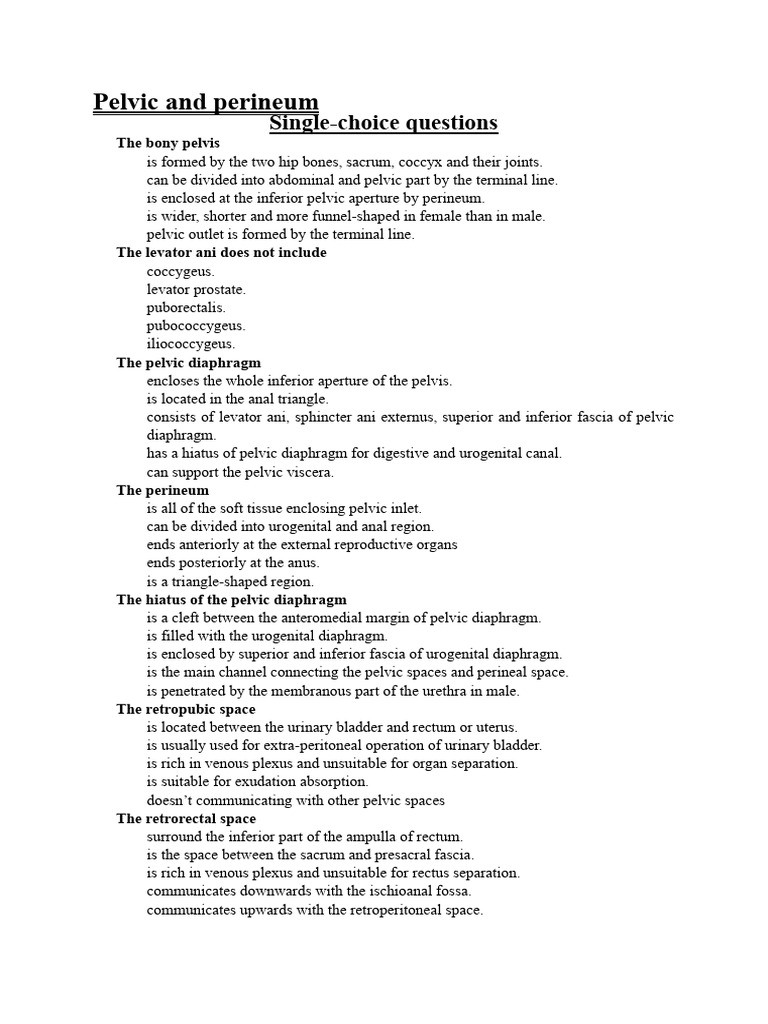 Pelvic and perineum | PDF