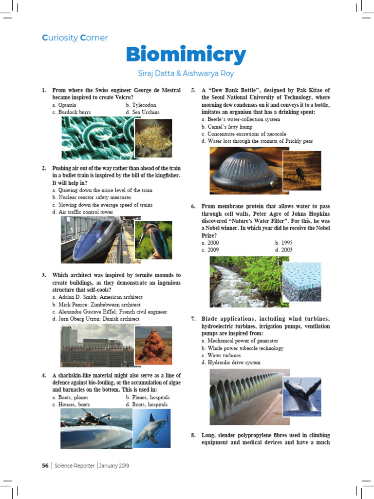 Biomimcry | PDF