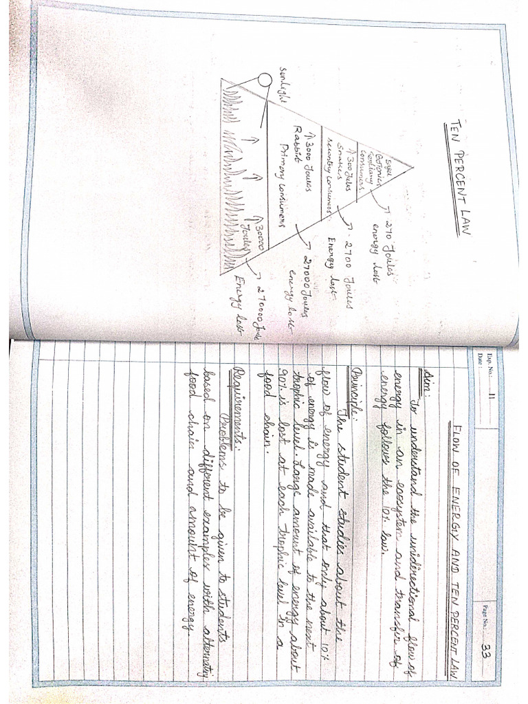 12th Bio Botany Record | PDF