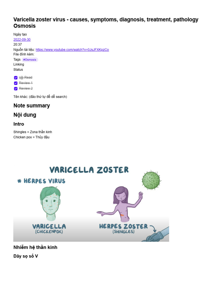 Varicella Zoster Virus - Causes, Symptoms, Diagnosis, Treatment ...