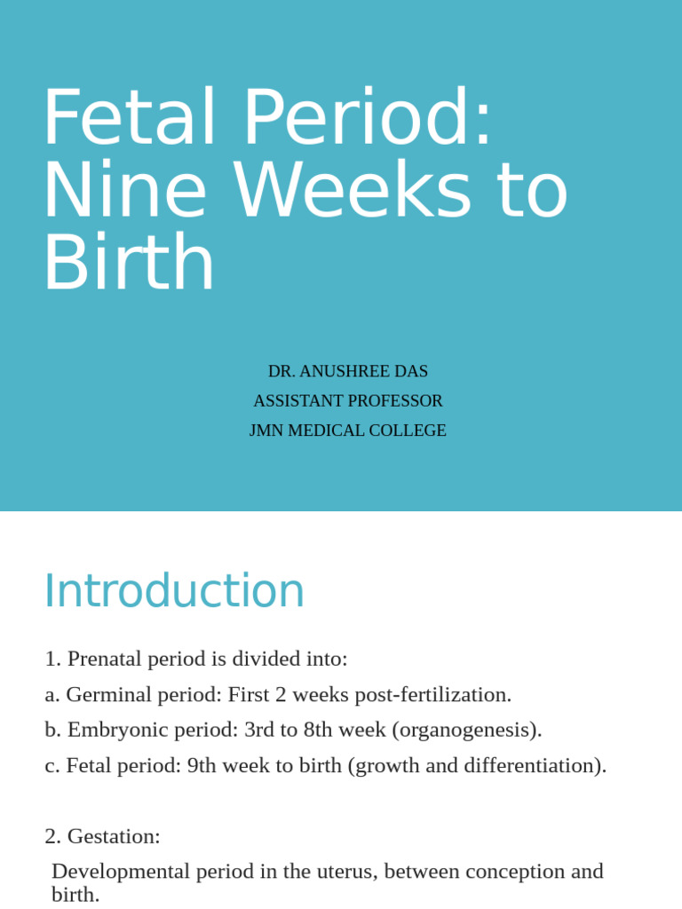 Fetal Period | PDF | Fetus | Prenatal Development