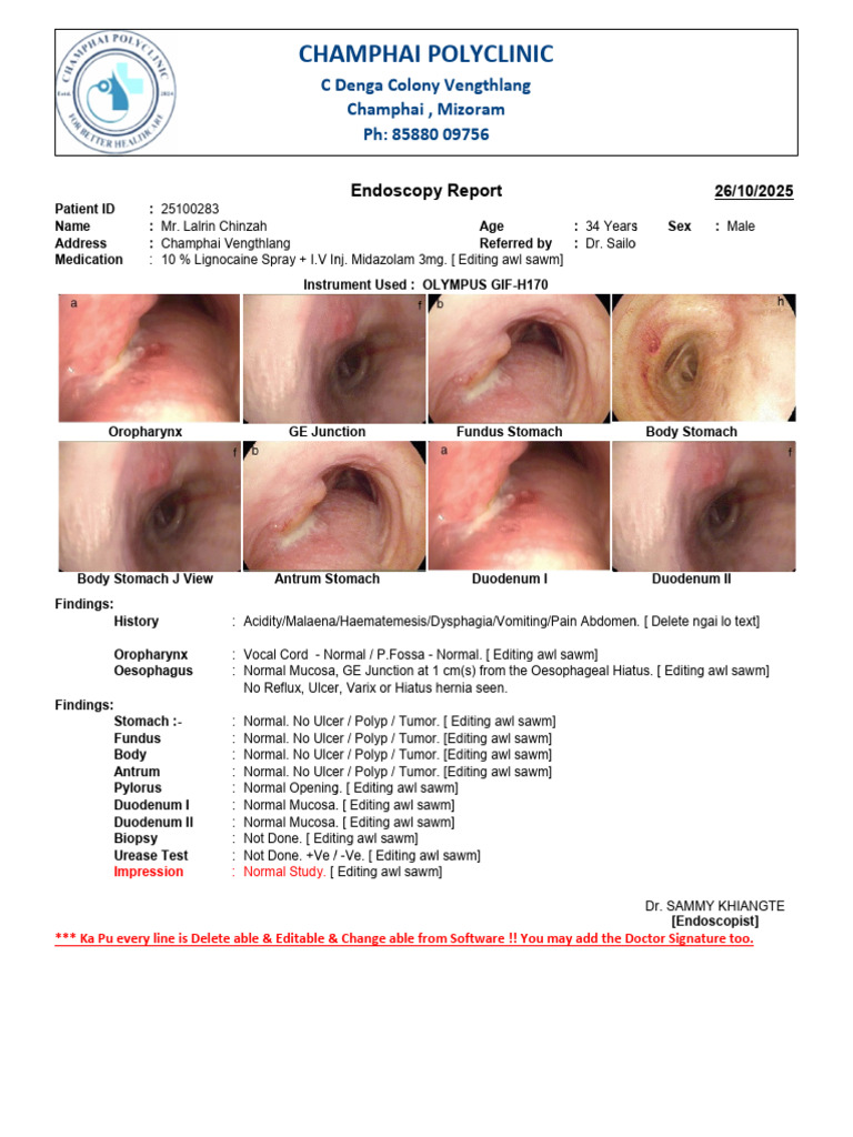 Endo Rep | PDF | Stomach | Gastroenterology