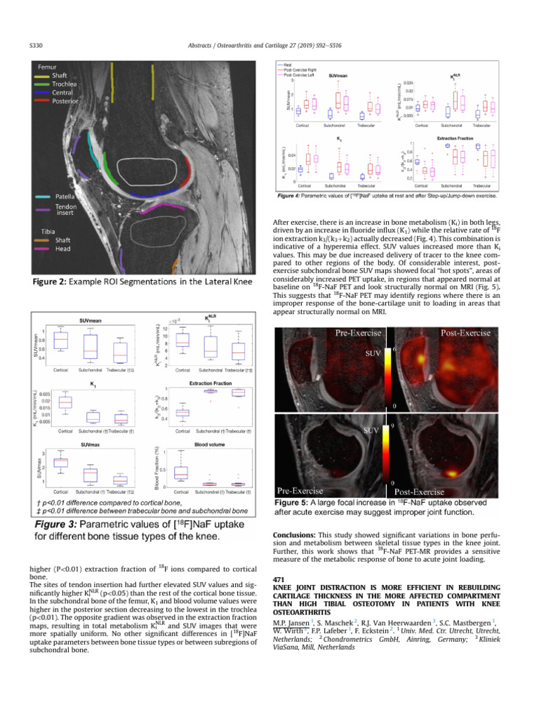 Pi is 1063458419307794 | PDF | Knee | Medical Specialties