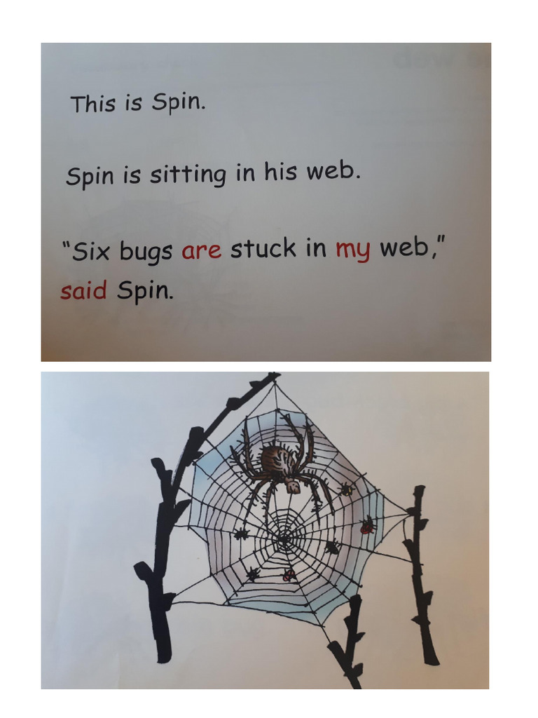 Book 8 the Web Story Reading Task.docx | PDF