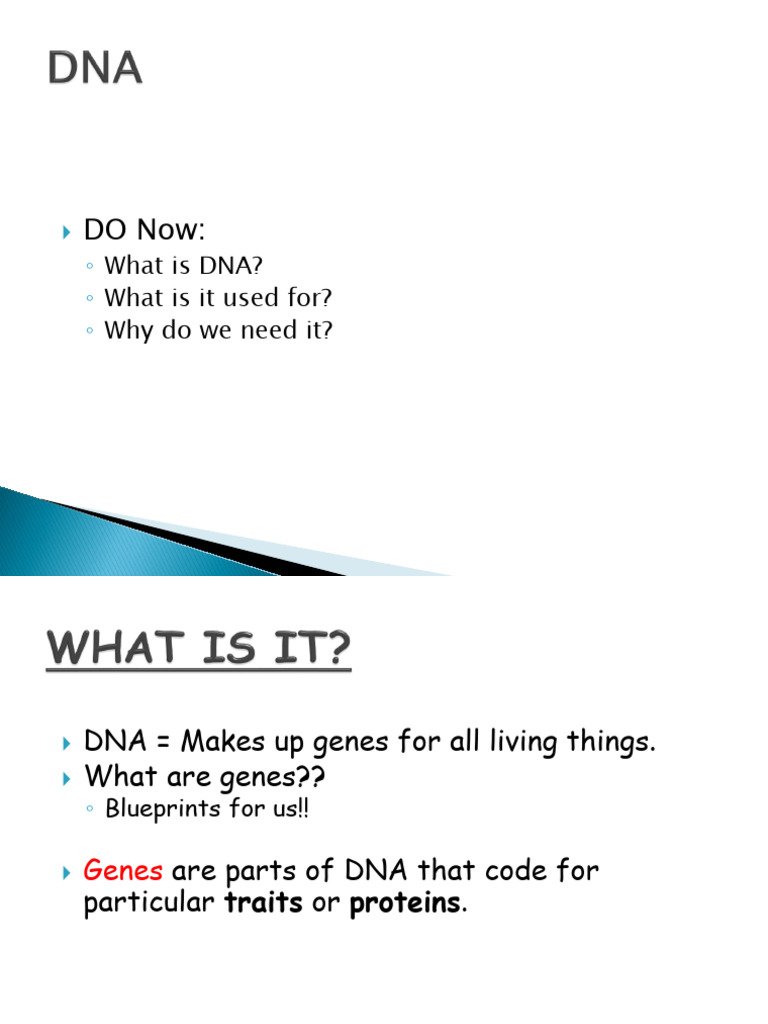 DNA | PDF | Dna | Rna