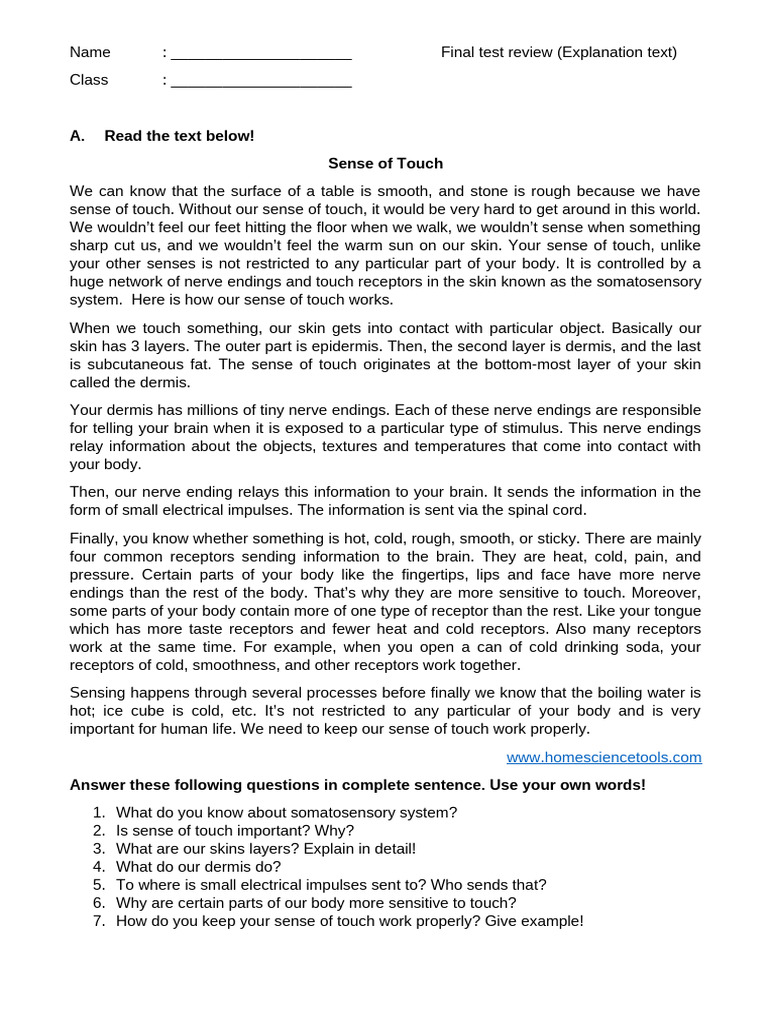 Explanation Text_sense of Touch | PDF | Senses | Skin