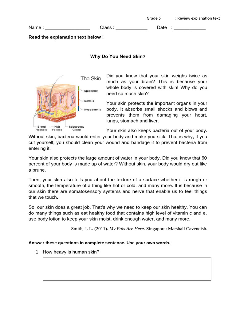 Importance of Skin for Health | PDF