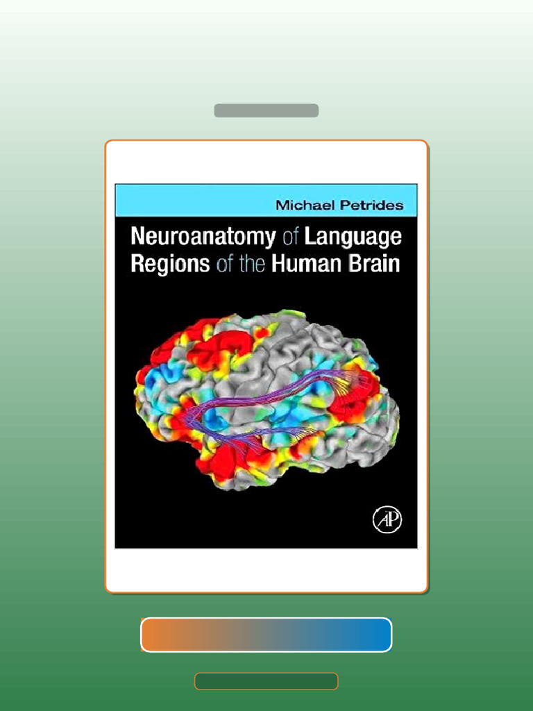 Test Bank for Neuroanatomy of Language Regions of the Human Brain by ...
