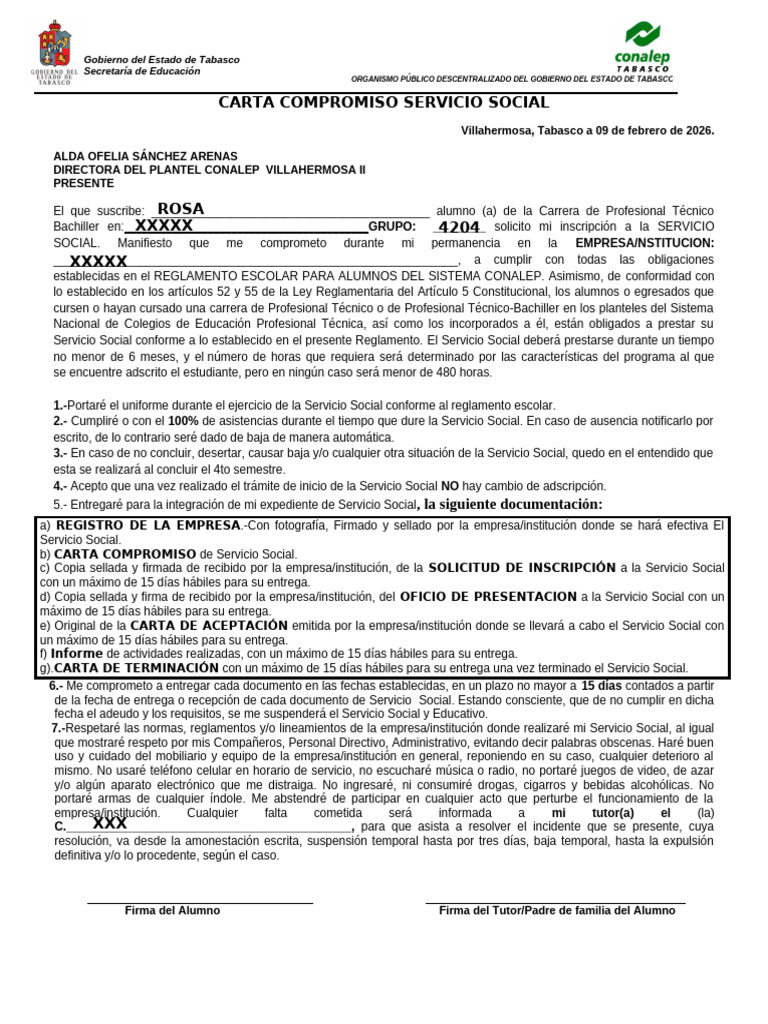 CARTA COMP Servicio Social | PDF