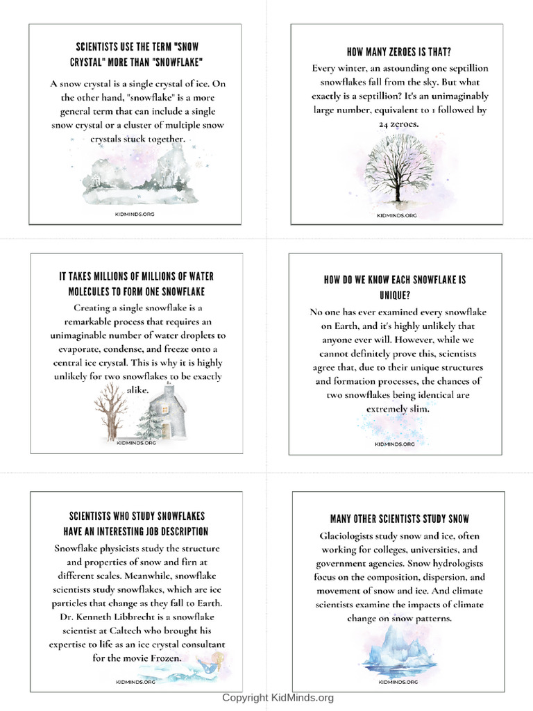 Snowflake Facts 2x6 | PDF