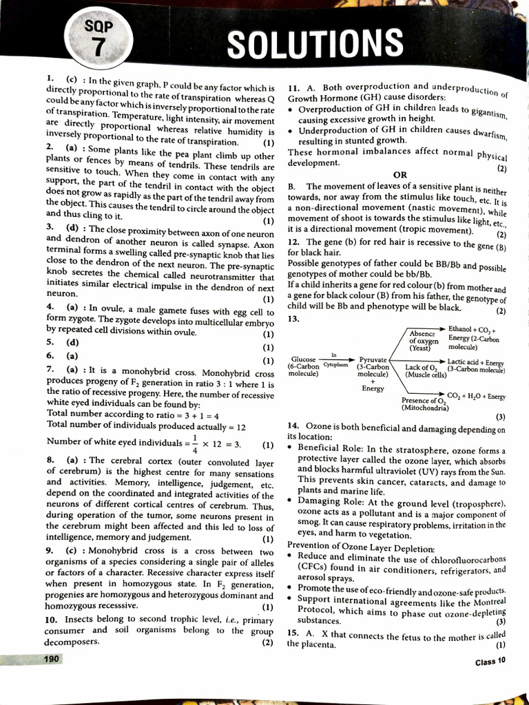 Sqp7 Solution s | PDF