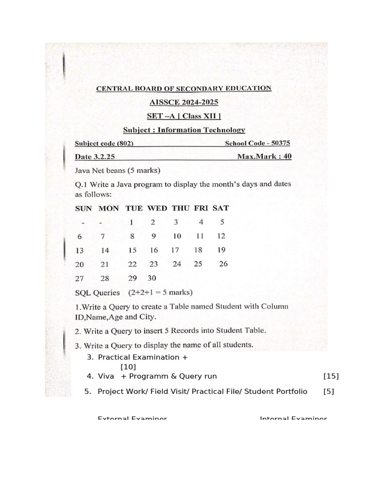Practical Exam and Project Guidelines | PDF