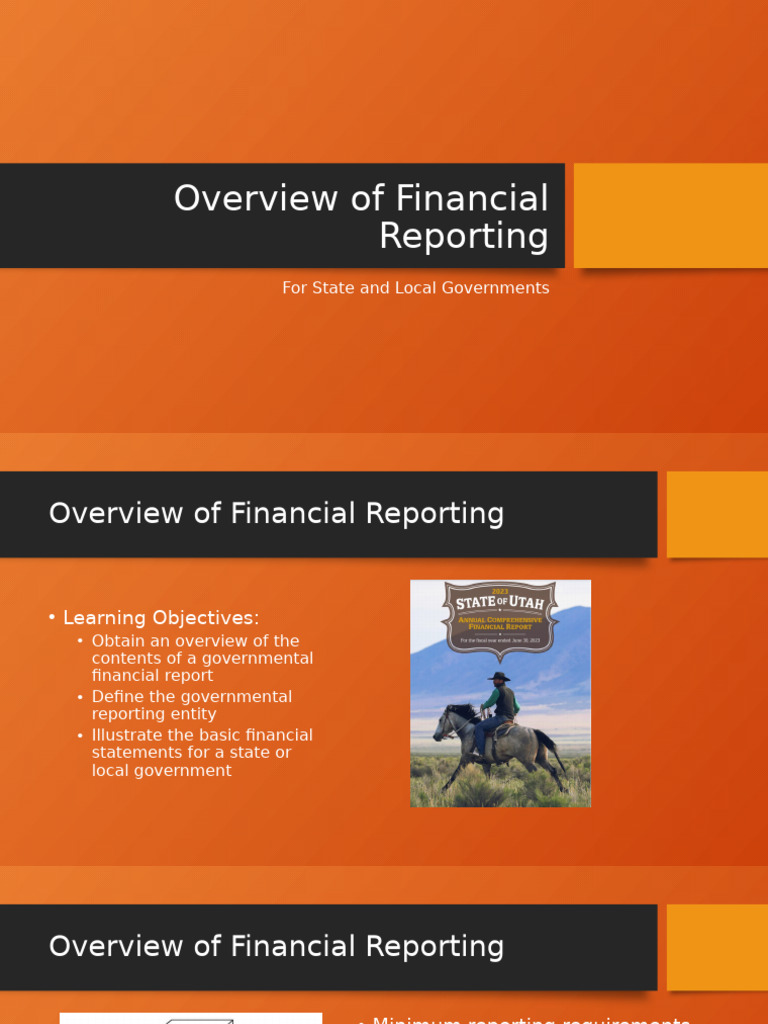 Financial Reporting for Governments Guide | PDF | Expense | Fund Accounting