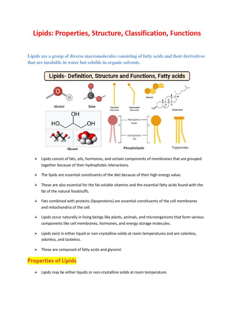 Lipids: Structure, Classification, Functions | PDF | Fatty Acid ...