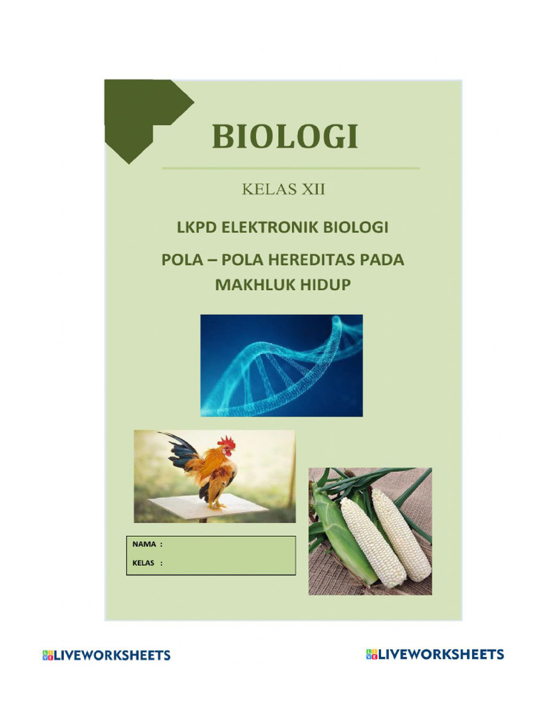 Worksheet 2257645 | PDF