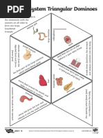 Magic School Bus Digestion Guide | PDF