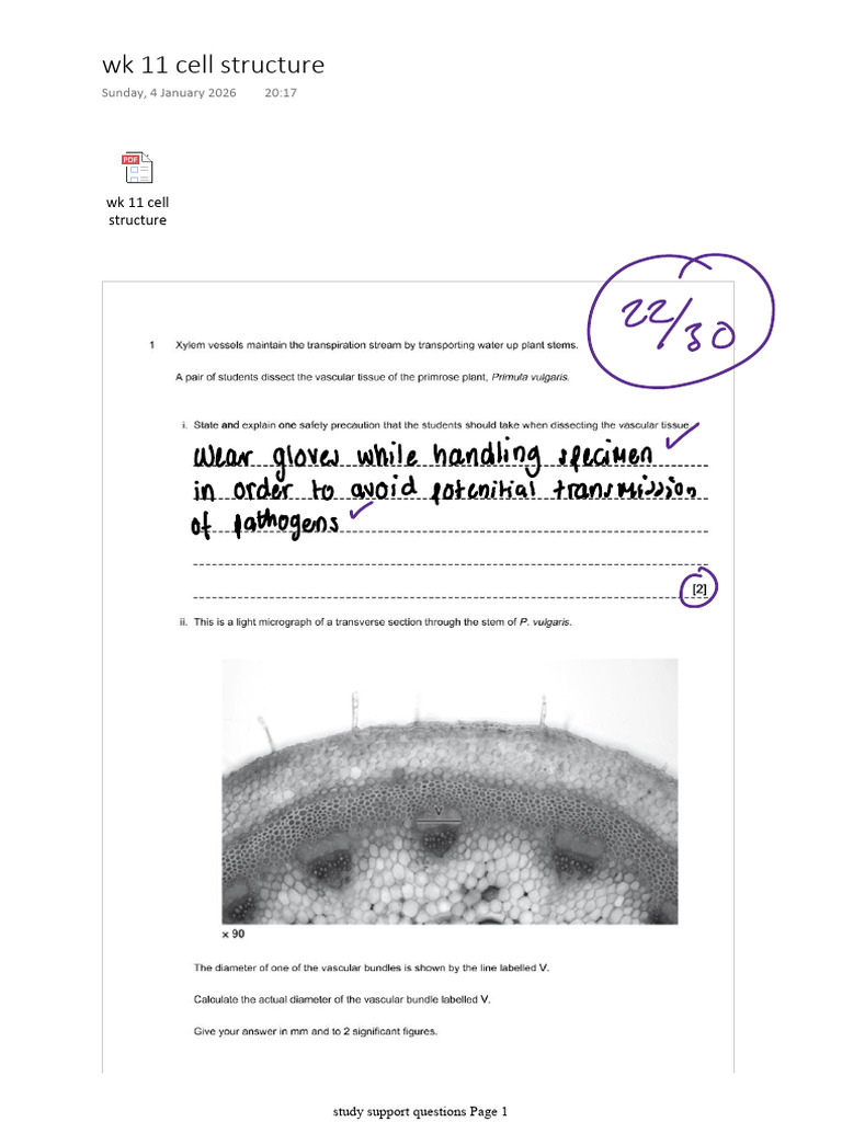 Wk 11 Cell Structure | PDF