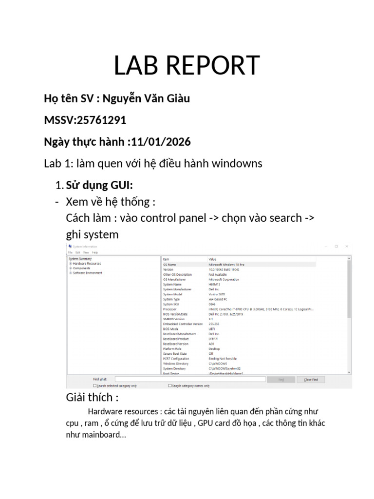 Lab Report (1) | PDF